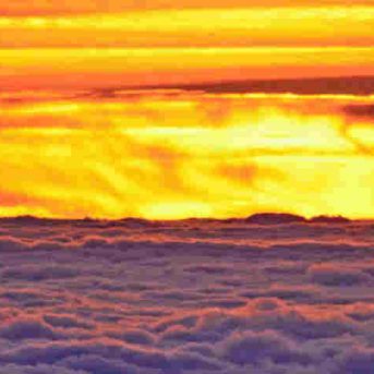 Morele schadevergoeding - Letselschadespecialist.nl 0800-4455000